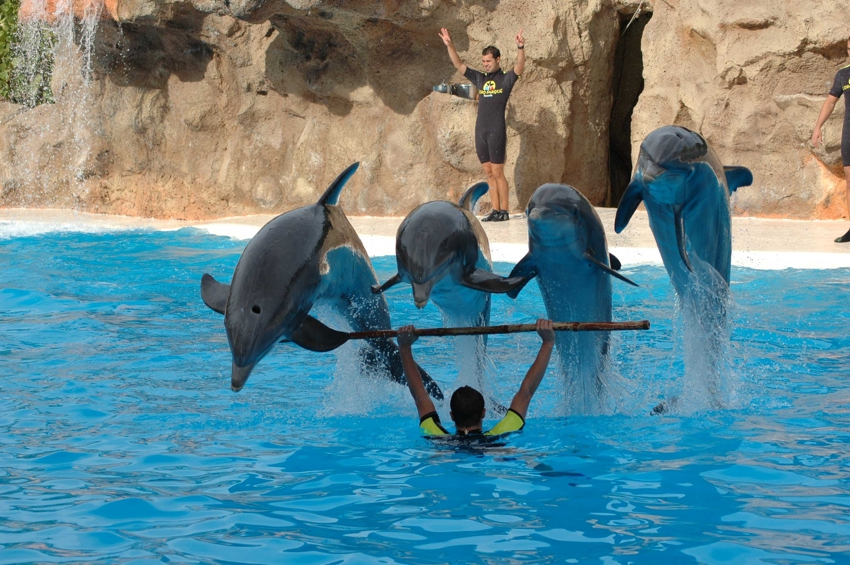 EU Dolphinaria » ENDCAP