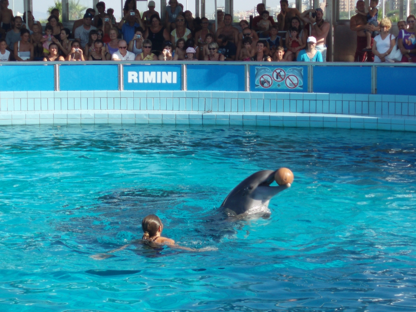 EU Dolphinaria » ENDCAP