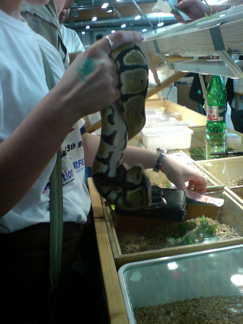 Wild Pets in the EU » ENDCAP